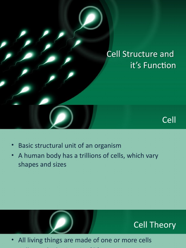Understanding Cell Structure and Function | PDF | Eukaryotes | Cell ...