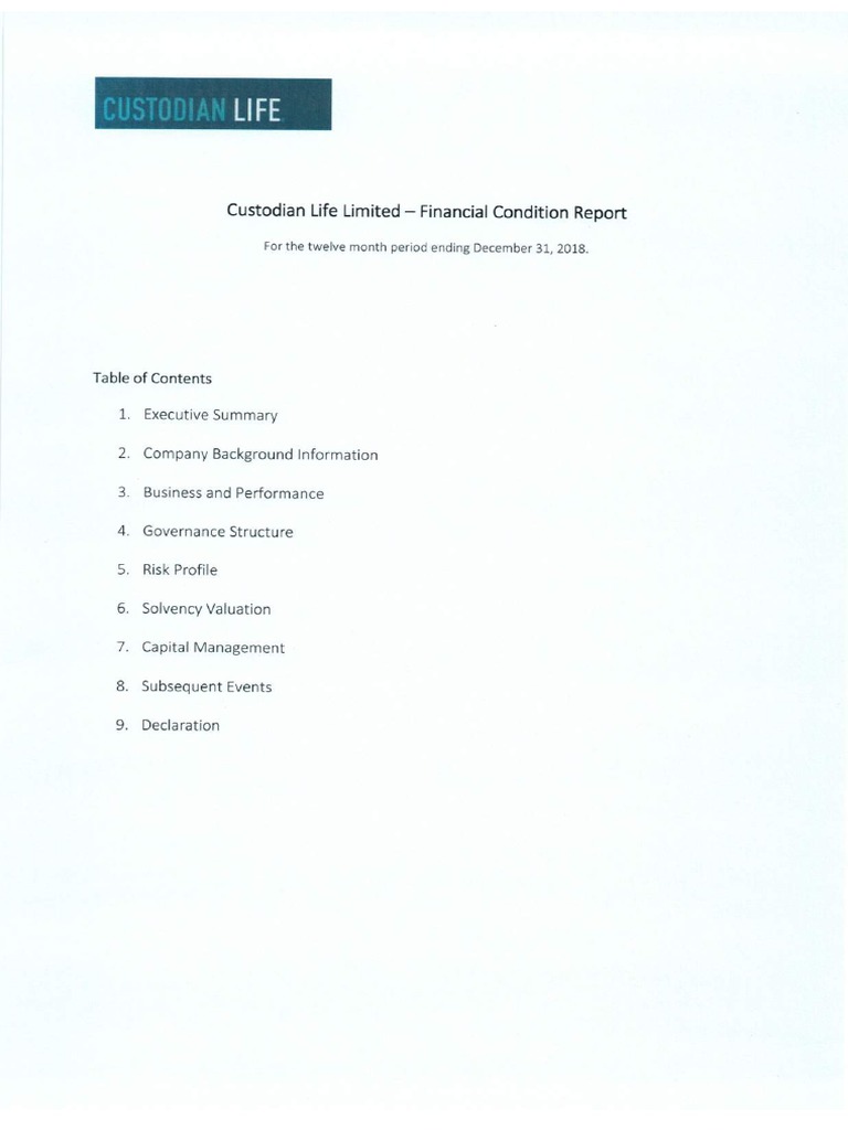 Custodian Life - Financial Condition Report | PDF