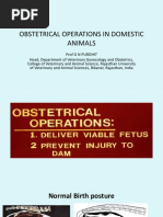 Gynecological and Obstetrics Instruments | PDF | Vagina | Gynaecology