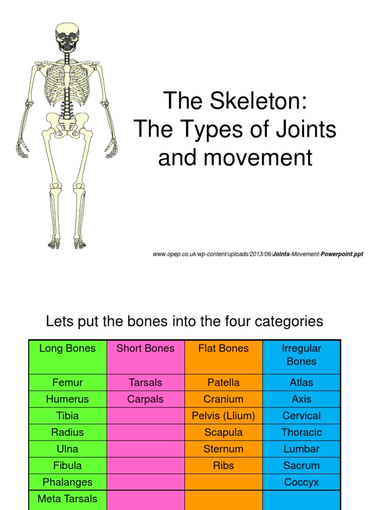 Joints Movement Powerpoint PDF | PDF | Anatomical Terms Of Motion | Joints