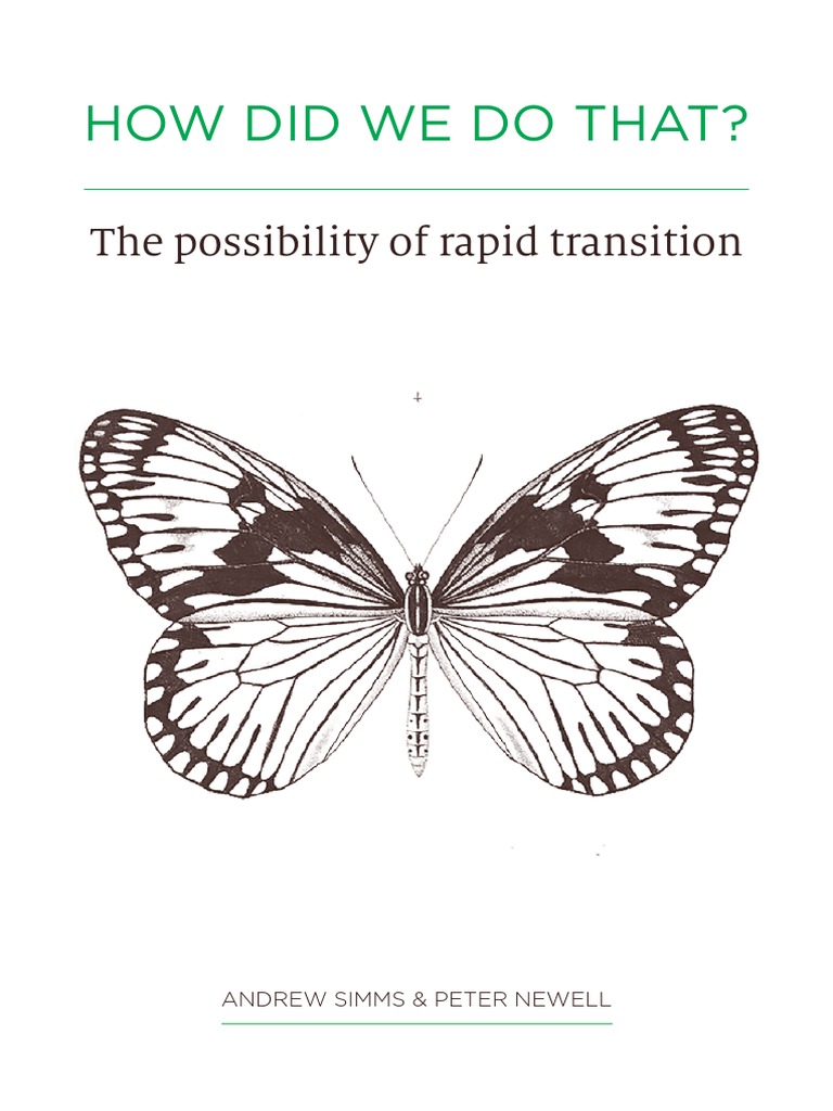 How Did We Do That?: The Possibility of Rapid Transition | PDF ...