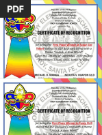 BSP Certificate | PDF | Scouting | Philippines