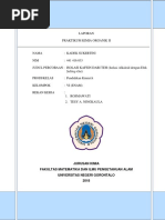 Laporan Praktikum Analisis Instrumen HPLC | PDF