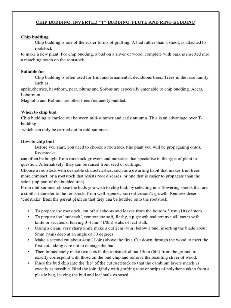 Types of Budding Techniques in Horticulture | PDF | Grafting | Plant ...