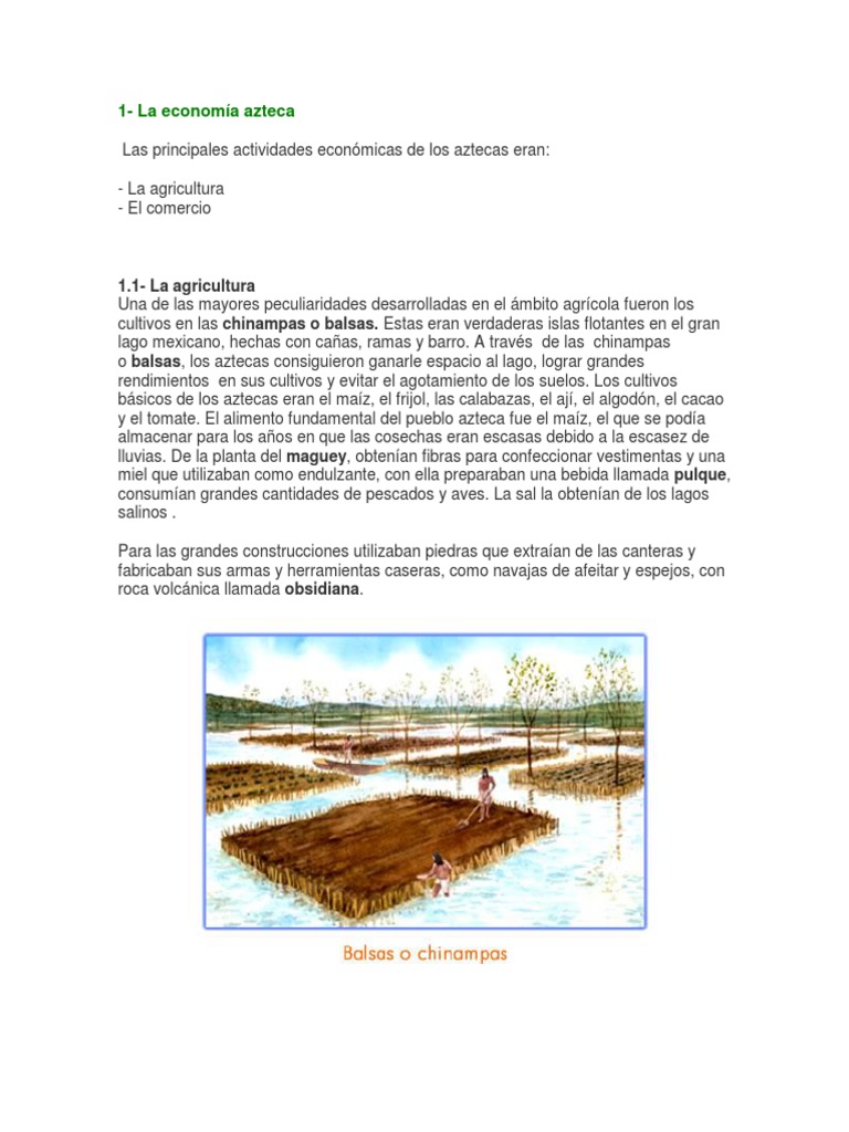 Agricultura Azteca