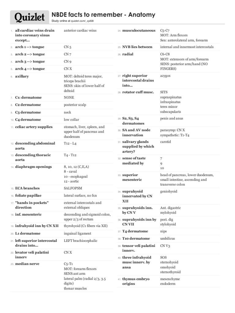 Facts To Remember Anatomy | PDF | Aorta | Arm