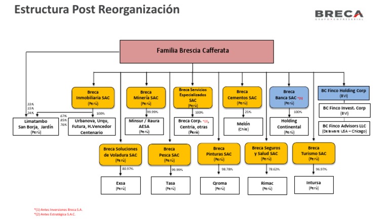 Estructura del Grupo Breca en Perú | PDF | Business | Naturaleza