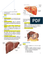Anatomia Normal Del Higado | PDF | Vena | Sistema cardiovascular
