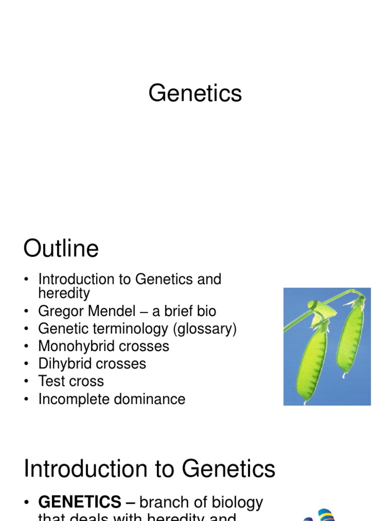 Genetics | PDF | Dominance (Genetics) | Zygosity