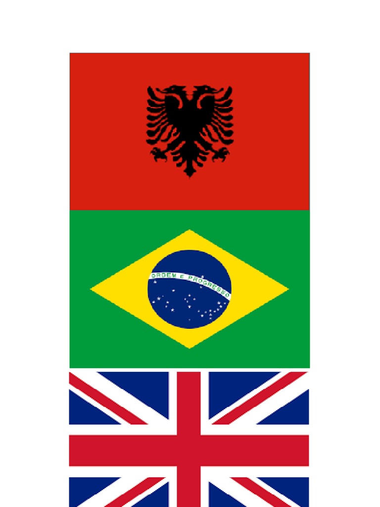 FLAGS | PDF