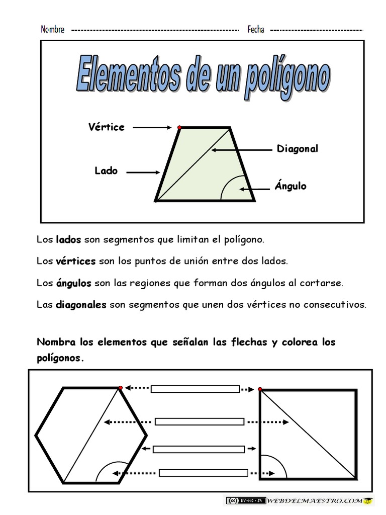 Elementos del Polígono para Niños | PDF