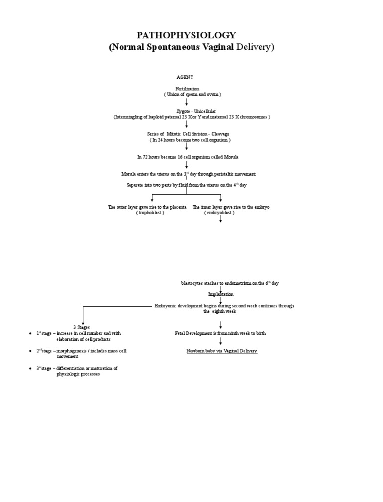 Pathophysiology (Normal Spontaneous Vaginal Delivery) | PDF | Human ...