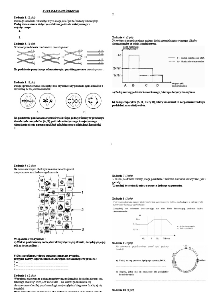 Mitoza i mejoza zadania