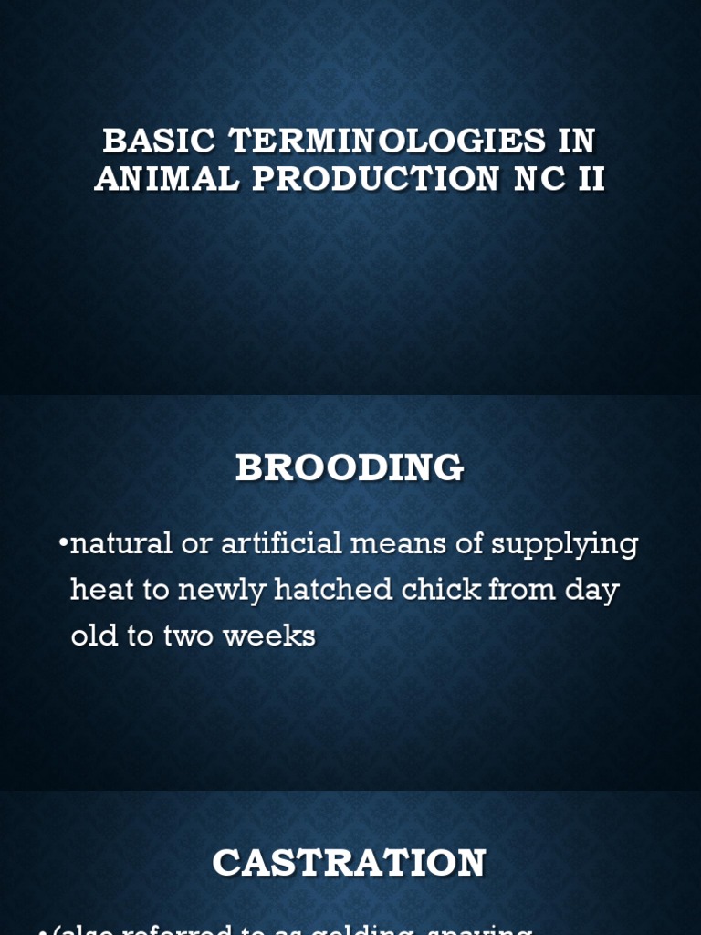 Basic Terminologies in Animal Production NC II (Poultry) | PDF ...