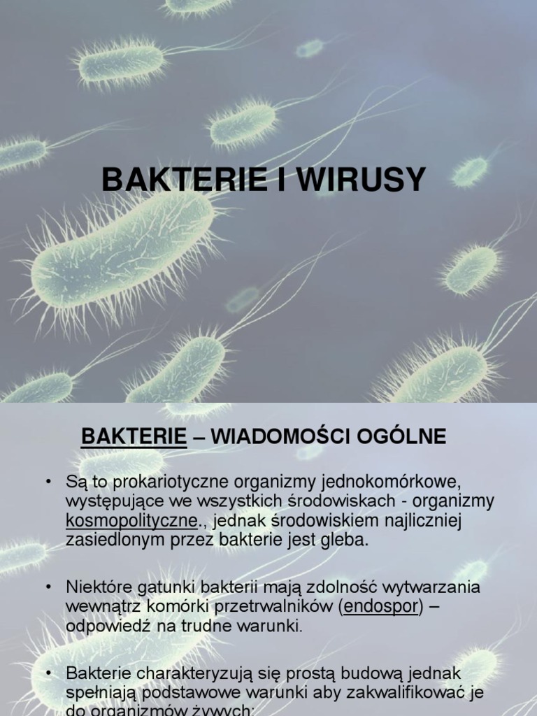 12 Bakterie I Wirusy | PDF