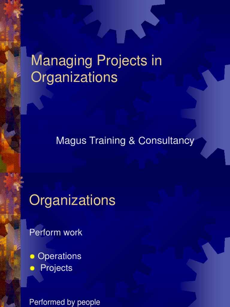 Managing Projects in Organizations: Magus Training & Consultancy | PDF ...