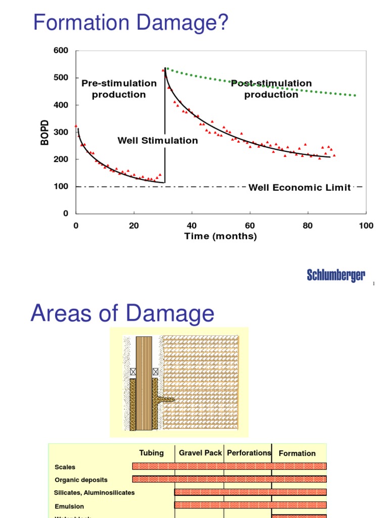 D Formation Damage StimCADE FDA | PDF | Chemical Process Engineering ...