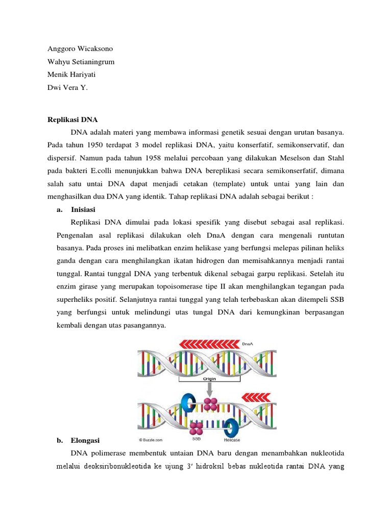 Replikasi Dna | PDF | Sains & Matematika