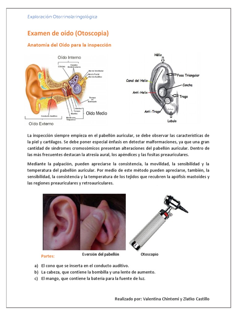 Guia de Exploracion ORL | PDF | Oído | Anatomía humana