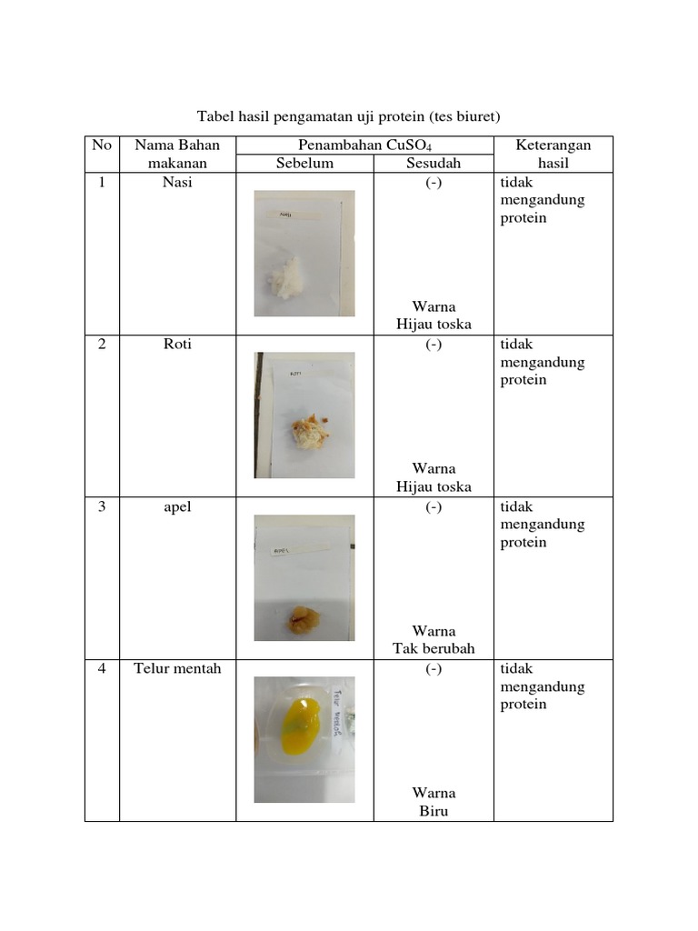 Tabel Hasil Pengamatan Uji Protein Revisi | PDF