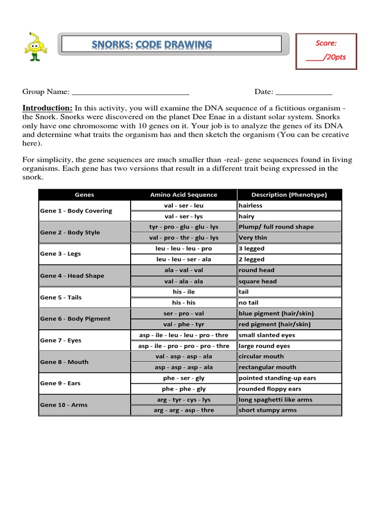Snorks Activity Revised | PDF | Translation (Biology) | Gene
