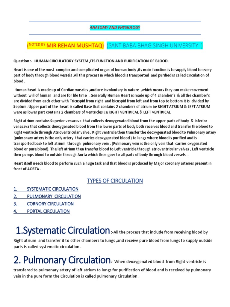 Human Circulatory System | PDF | Circulatory System | Atrium (Heart)