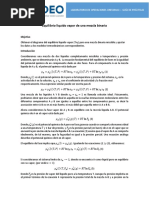 Guía Práctica 4 - Diagrama Txy | PDF | Ciencia y matemática