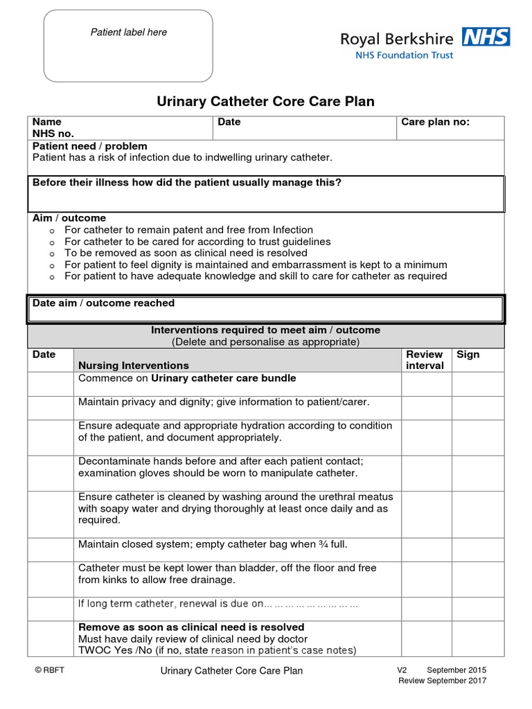 Urinary Catheter Core Care Plan September 2015 PDF | PDF | Medical ...