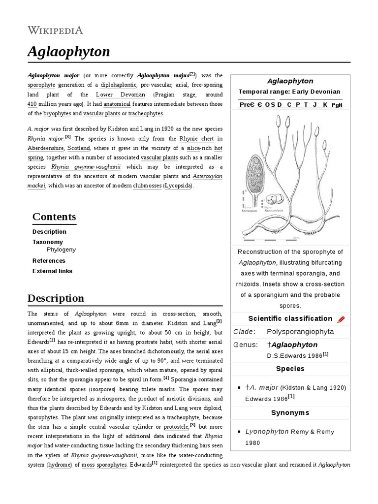 Aglaophyton: Temporal Range: Early Devonian | PDF | Plants | Botany