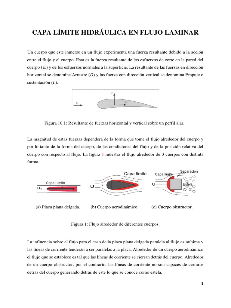 Capa Limite | PDF | Capa límite | Viscosidad