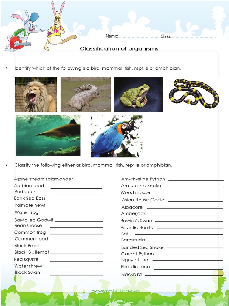 Mammals Bird Fish Reptile Amphibian PDF | PDF | Amphibian | Organisms