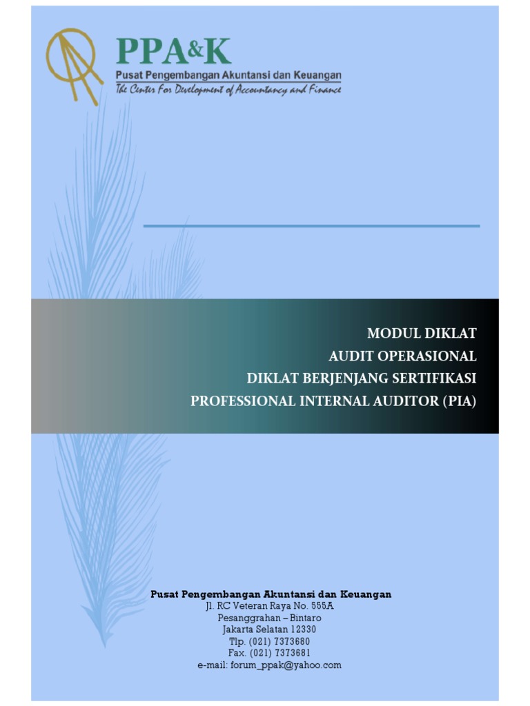 Audit Operasional | PDF