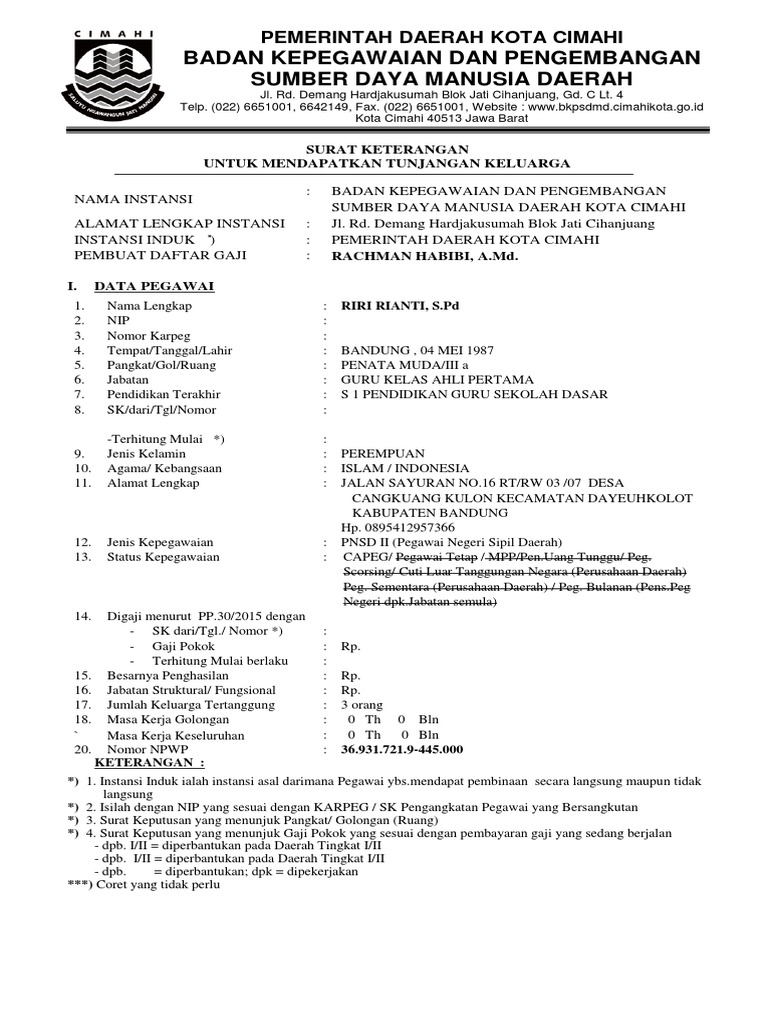 Contoh Form SKUMPTK CPNS | PDF