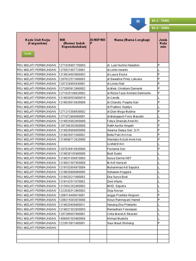 B1.1 - Tabel Rekapitulasi Data SDMK B1.3 - Tabel Renbut Rumah Sakit | PDF