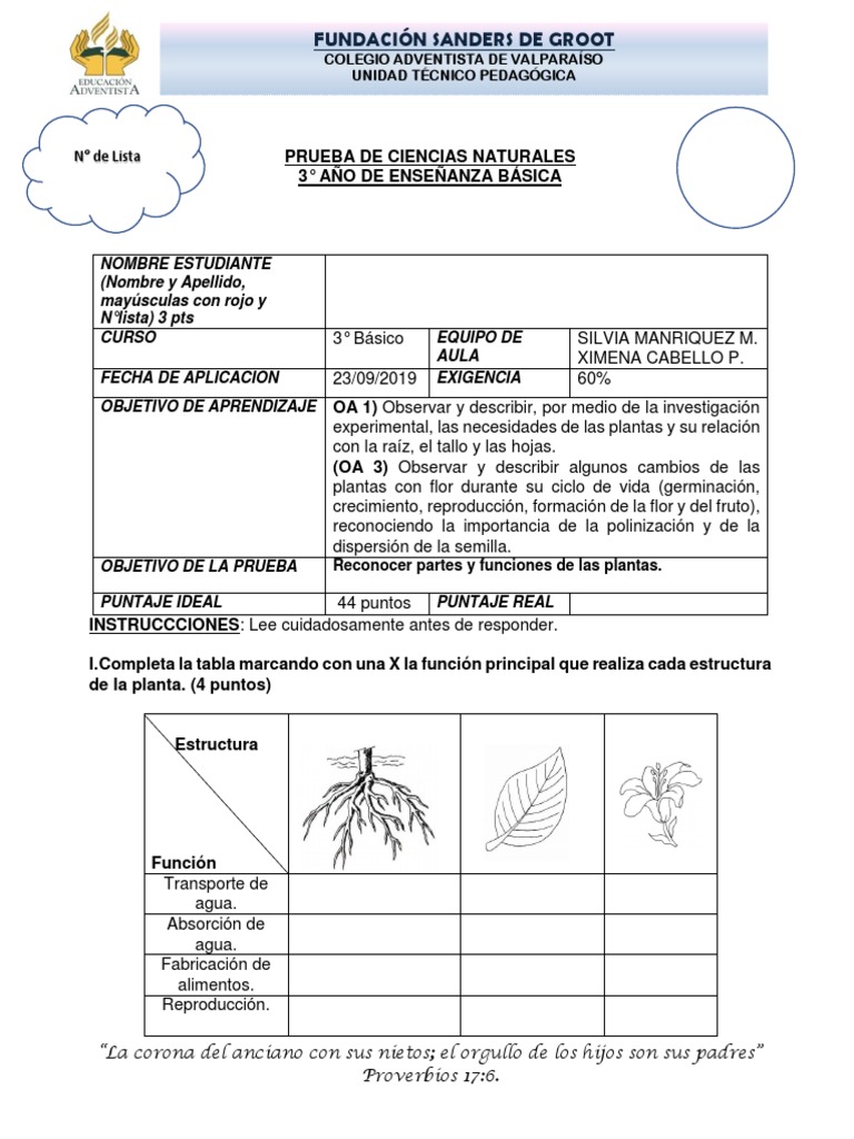 Prueba Ciencias Naturales 3° Basico Las Plantas | PDF | Plantas ...