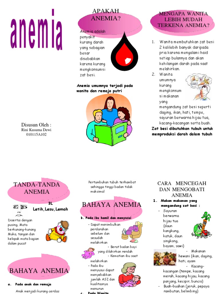 Leaflet Anemia 1 | PDF