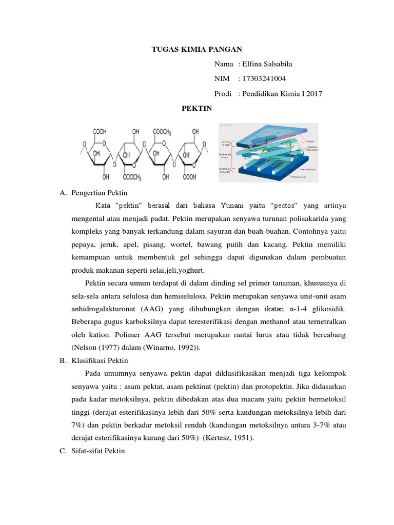 Pektin: Pengertian, Klasifikasi, dan Manfaat | PDF