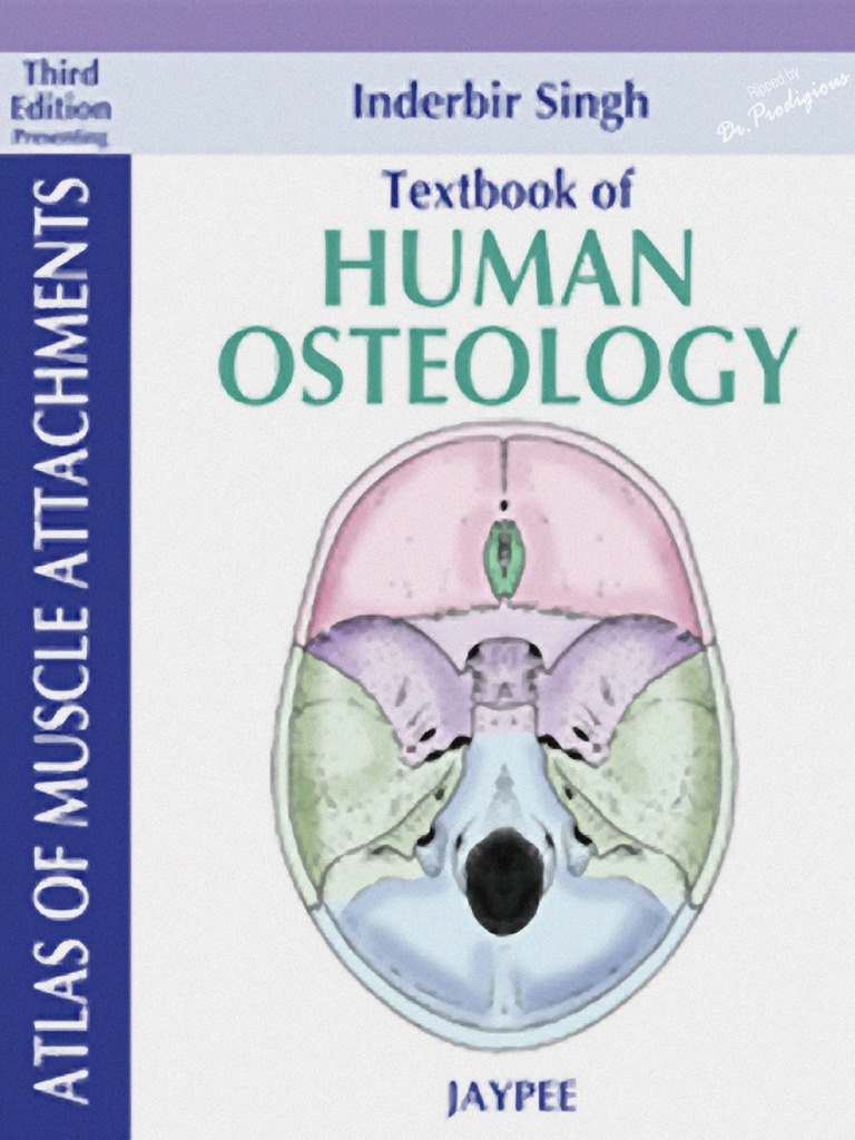IB Singh - Textbook of Human Osteology, 3rd Edition PDF | PDF | Pelvis ...