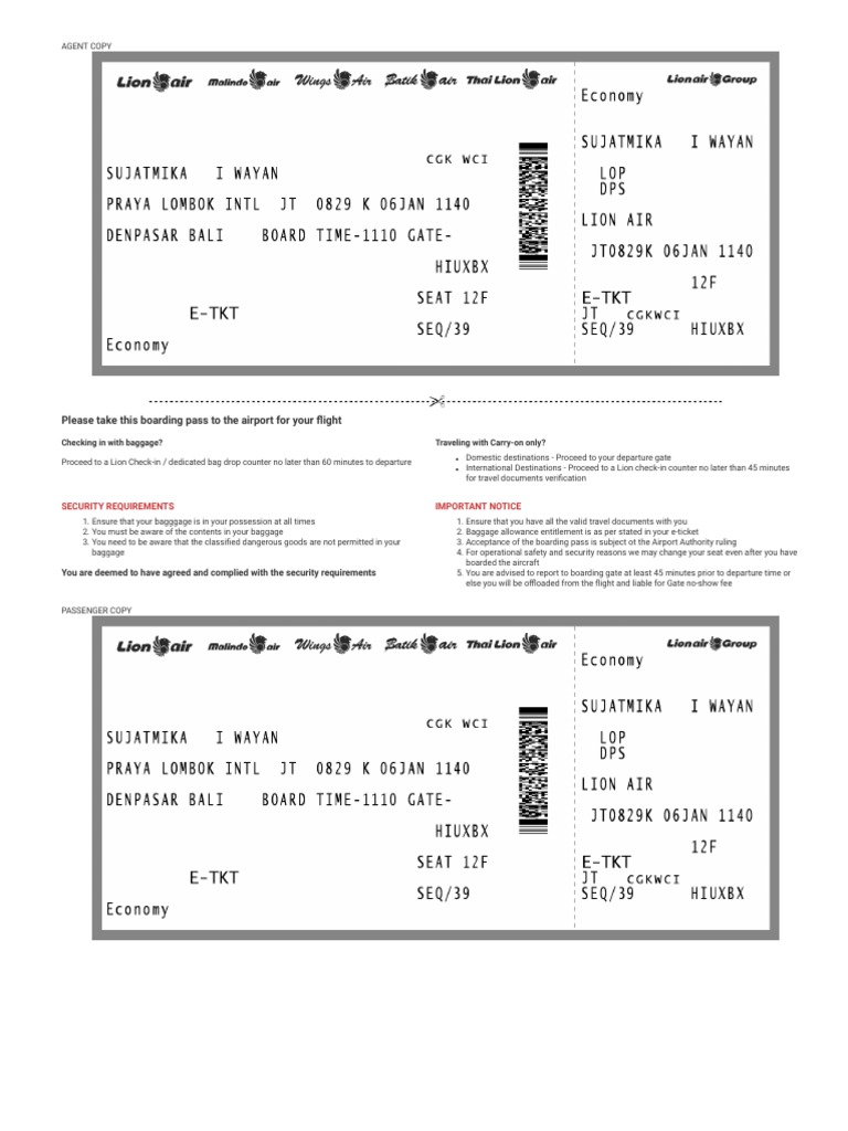 Baggage and Check-in Guidelines | PDF