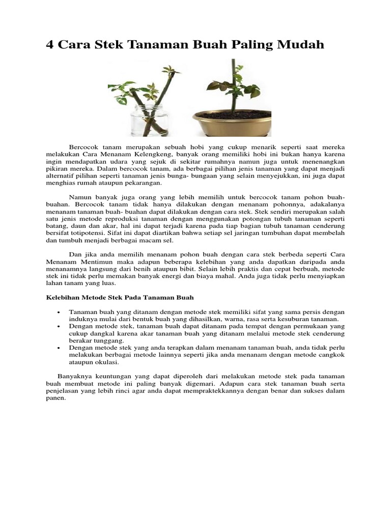 4 Cara Stek Tanaman Buah Paling Mudah | PDF