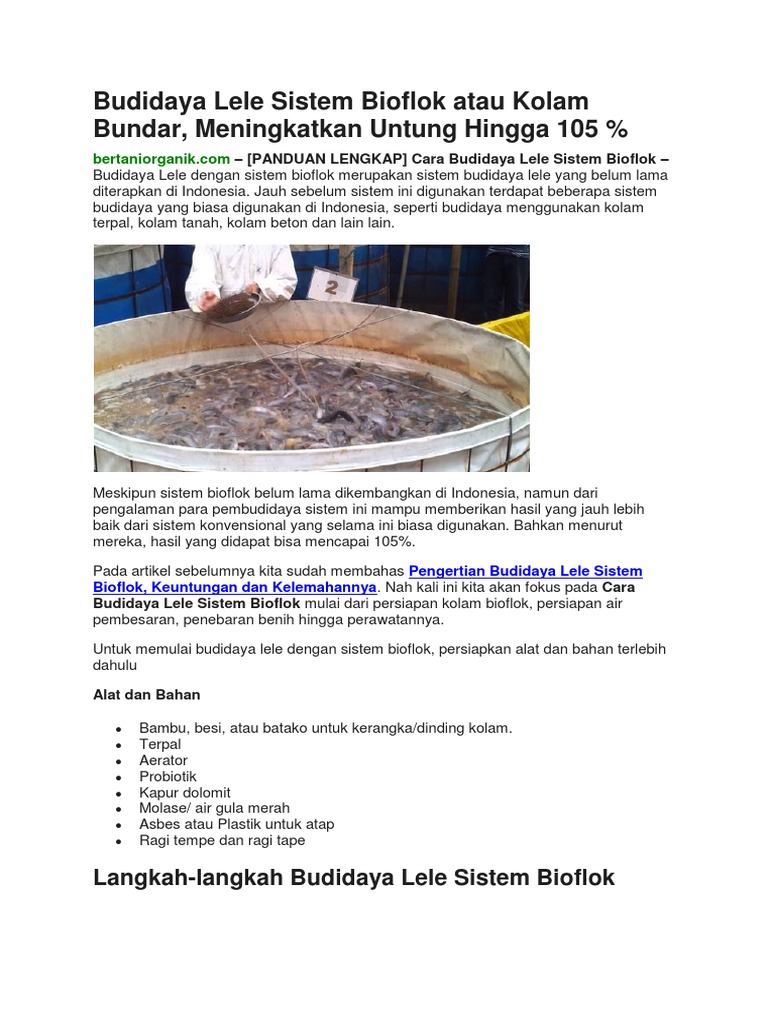 Budidaya Lele Sistem Bioflok Atau Kolam | PDF