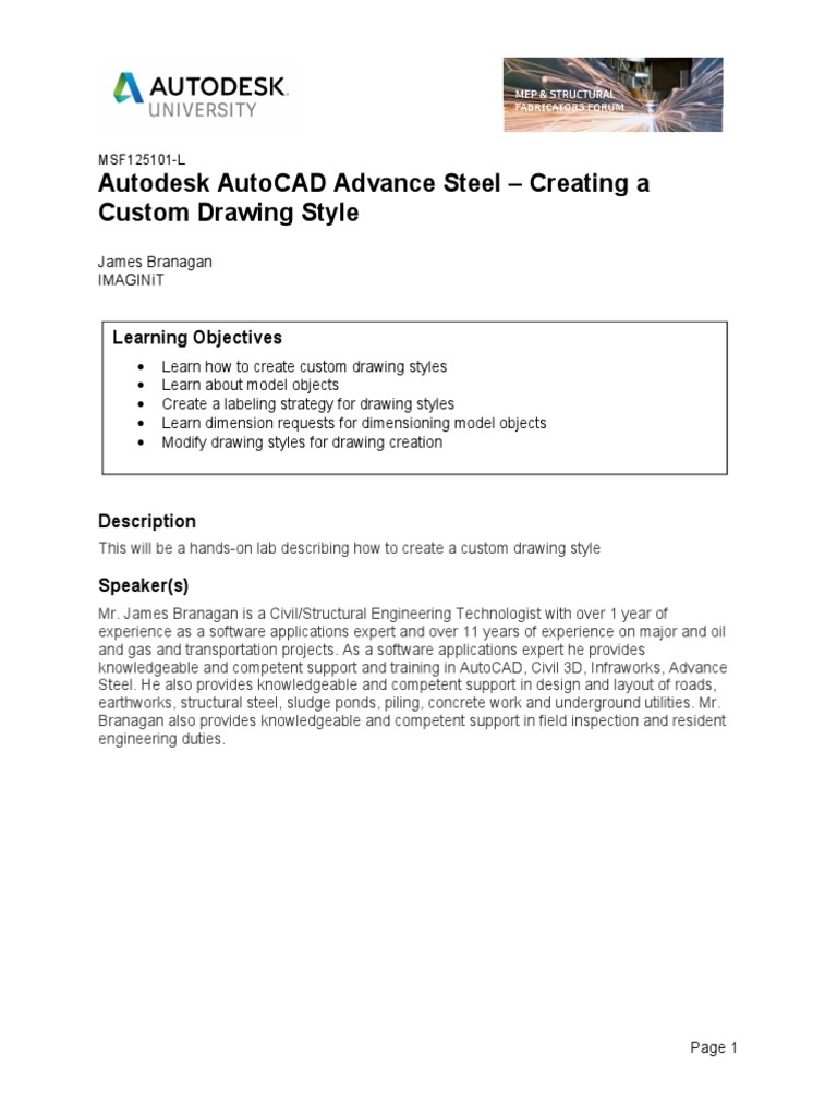 Autodesk AutoCAD Advance Steel - Creating A Custom Drawing Style | PDF ...