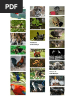 Ejemplos de Los Signos Naturales | PDF