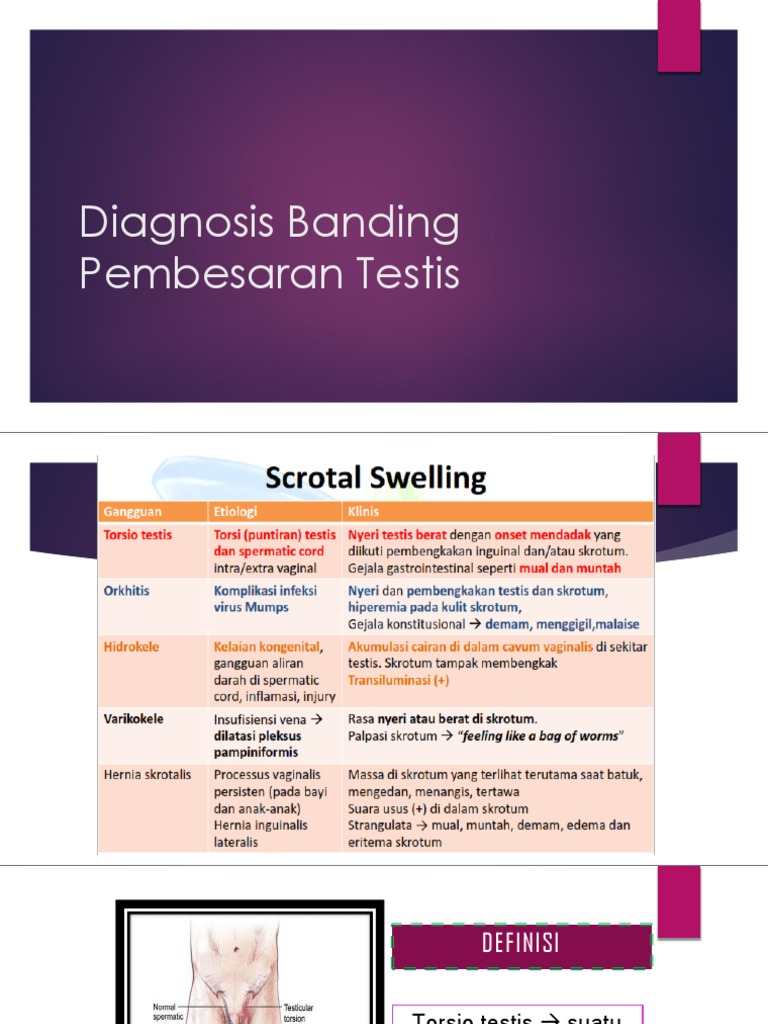 Diagnosis Banding Pembesaran Skrotum | PDF