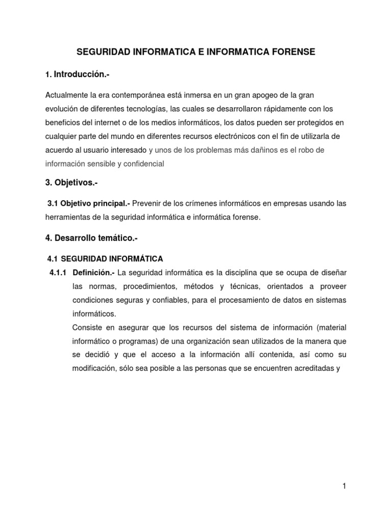 Seguridad Informatica | PDF
