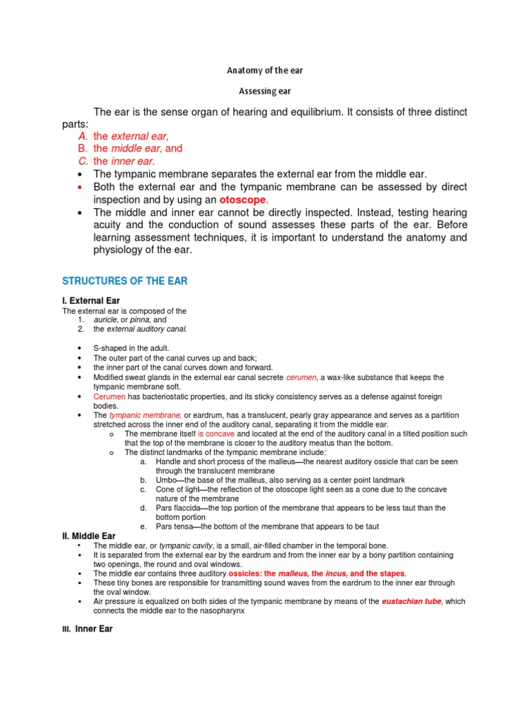 A. The External Ear, C. The Inner Ear | PDF | Ear | Hearing
