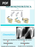 Guia 02 Sindrome Operculo Toracico | PDF | Anatomía humana | Sistema ...