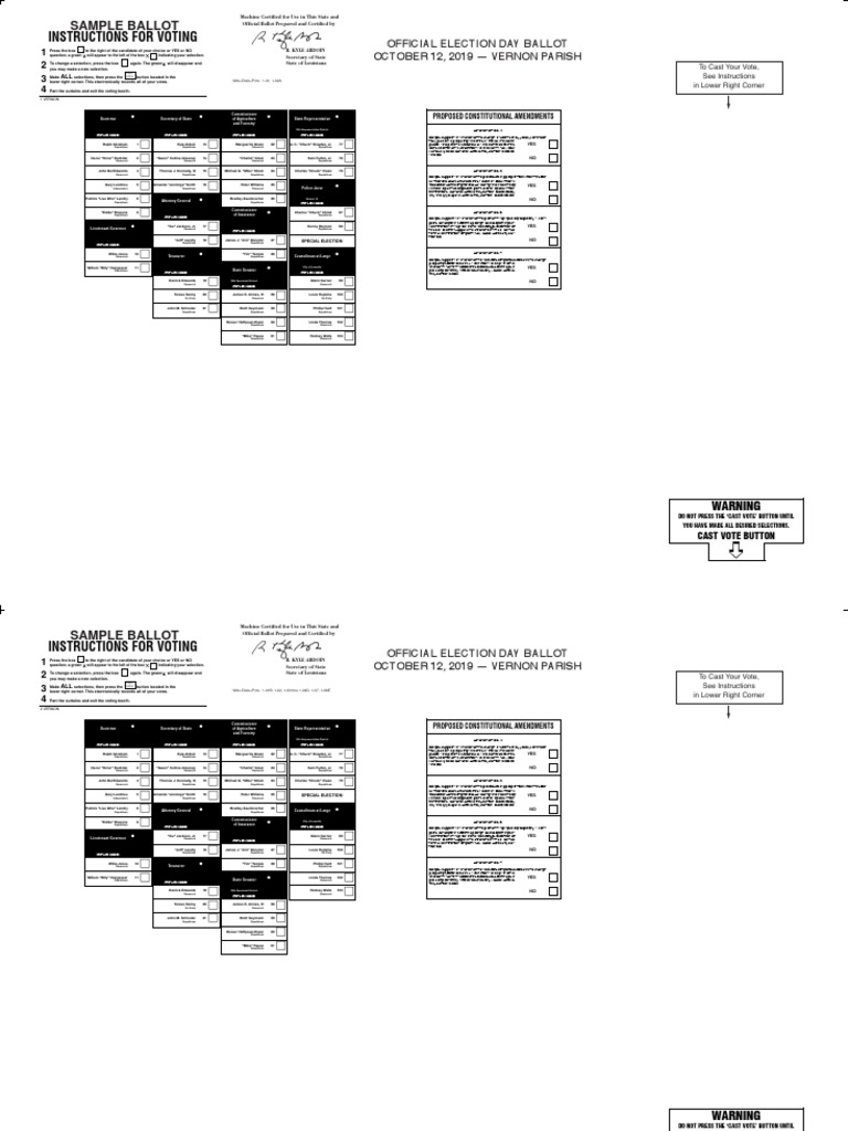 Sample Ballot: Instructions For Voting | PDF | Democratic Party (United ...