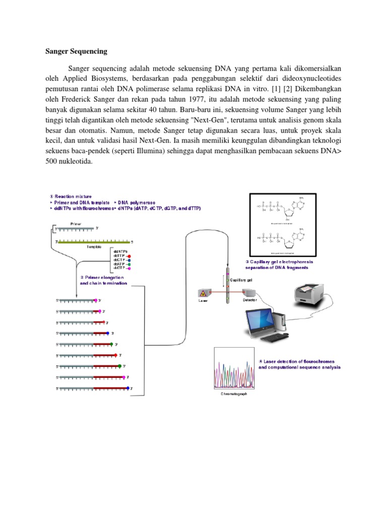 Metode Sanger dalam Sekuensing DNA | PDF | Sains & Matematika