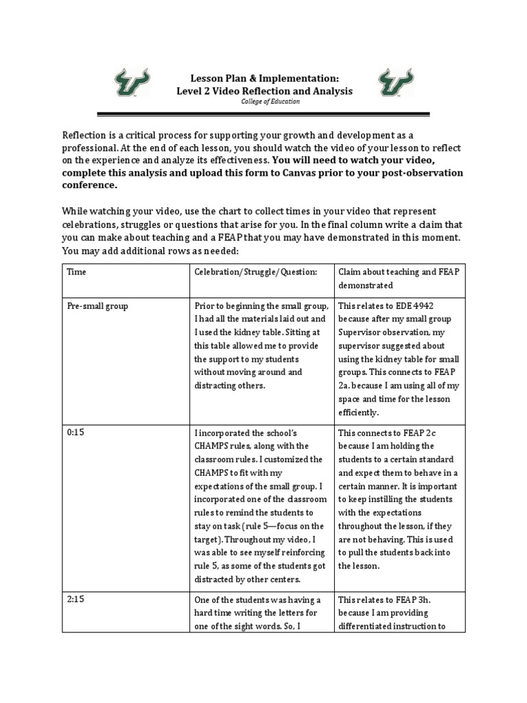 Level 2 Video Reflection Guide Pdf Differentiated Instruction